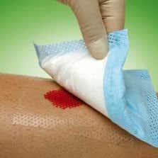 Mepitel One 24cm x 27.5cm Dressing x 5-350-6912 : Amazon.co.uk: Health ...