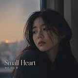 【発売日：2026年05月19日】・製造元:12632428 Records DK