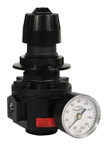 Dixon 1/4" Standard Regulator with Gauge 112 SCFM (R26-02RG): Amazon ...