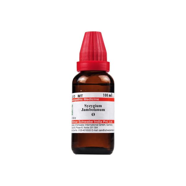 Buy SYZYGIUM JAMBOLANUM Q 100 ML SCHWABE (335540) Online at Low Prices ...