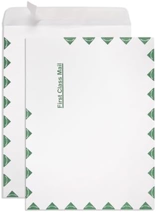 Amazon.com : Blue Summit First-Class Tyvek Envelopes, 100 10 x 13 Peel ...