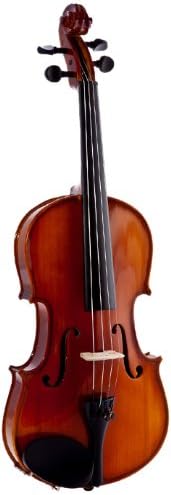 Amazon.com: D'Luca DL-25044 Meister Student Violin Outfit 4/4 : Musical ...