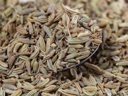 Farm Fresh Fennel Seeds Saunf Sweet 200 Grams A023 : Amazon.in: Grocery ...