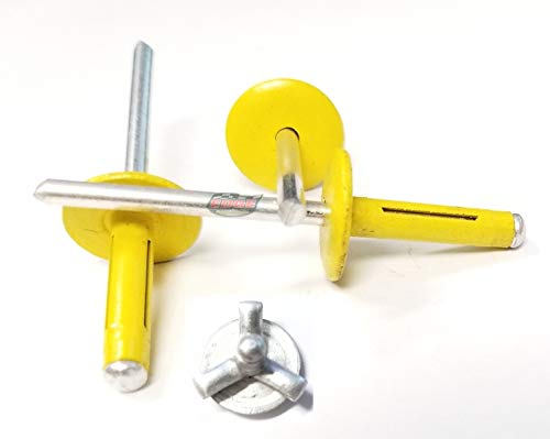 Amazon.com: Racer's Speed Shop Yellow 3/16" Large Head Tri-Fold ...