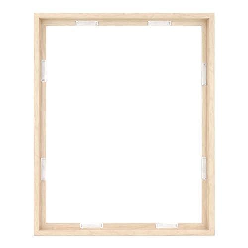 Snapklik.com : MCS Floating Canvas Frame, Art Frames For Canvas Paintings