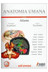 ANATOMA UMANA ATLANTE VOLUME 3 : ANASTASI, TACCHETTI: Amazon.it: Libri