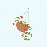 【発売日：2024年07月29日】・製造元:4057829 Records DK