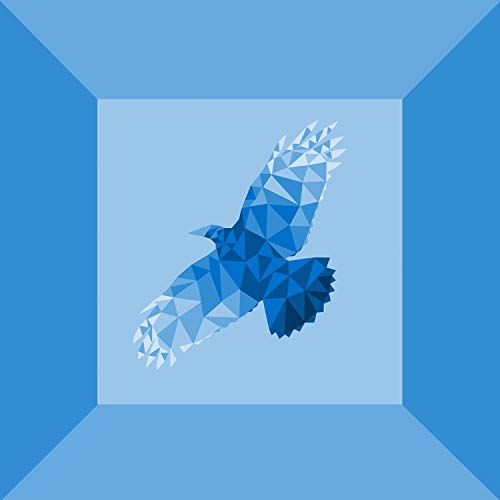 Soar de Adam Yokum en Amazon Music Unlimited