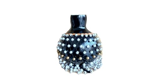Amazon.com: Black Gourd rattle, rhythym music instrument, Latin ...