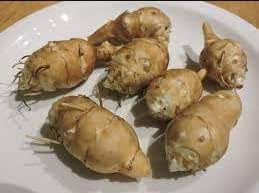 Amazon.com : White Jerusalem Artichoke Tubers Sunchokes, Sunroot or ...