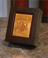 Amazon.com: Mother & Cub Lithophane Shadow Box : Tools & Home Improvement