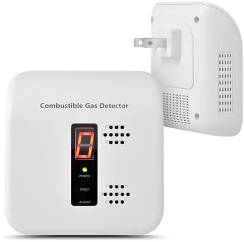 Combustible Propane Gas Detector with Audible & Visual Alarm ...