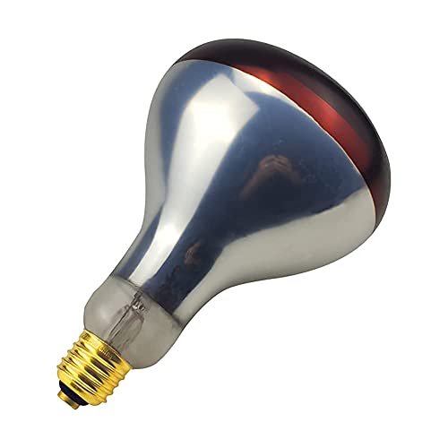 Snapklik.com : BONGBADA 2 Pack Heat Lamp Bulb R40 250 Watt Roasted Red ...