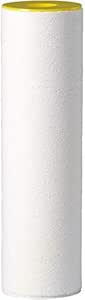 RAINFRESH CF3 30-Micron Sediment Filter for Household Filtration