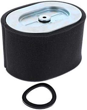 Amazon.com: Air Cleaner Filter For Briggs and Stratton part# 590601 ...