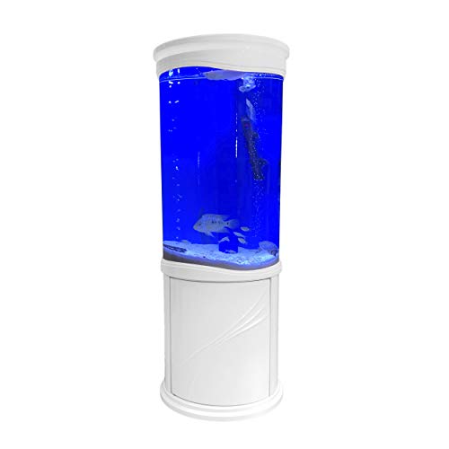 The 30 Best 100 Gallon Fish Tanks of 2024 [Verified] - Cherry Picks