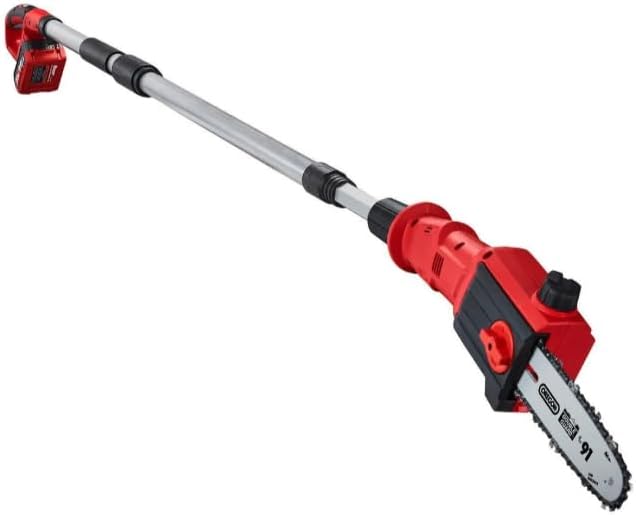 Amazon.com : Cordless Pole Saw 20V, 8 Inches Electric Tree Trimmer ...
