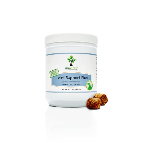 Discover the Best Paw Tree Dog Food Products: Top 10 Picks and Guide ...