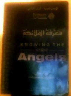 Knowing the Angels: al-Jibaly, Muhammad: 9781891229060: Amazon.com: Books