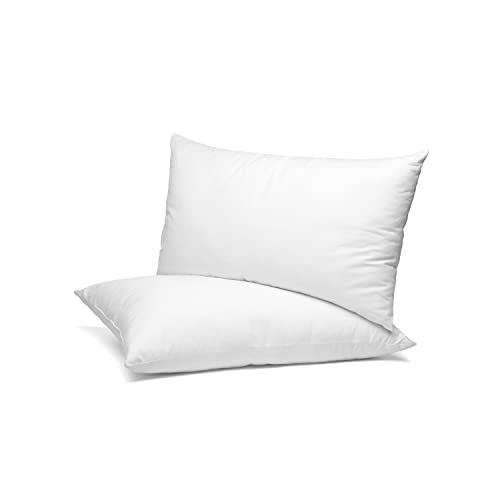 10 Best 16 x 38 Pillow Inserts for Your Ultimate Comfort - Furry Folly