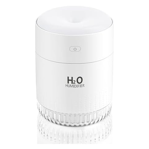 The 10 Best Mini Humidifiers of 2025 (Reviews) - FindThisBest