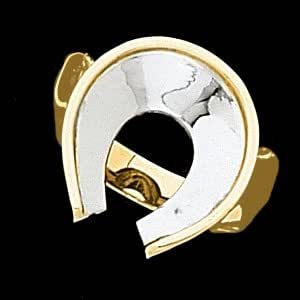 Amazon.com: Western Style Mounting : Everything Else