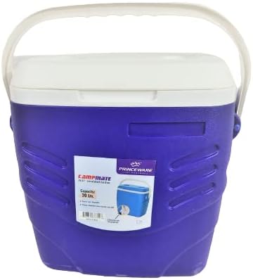 Buy Gee Enterprises Princeware Insulated Chiller Ice Box, Medicine and ...