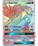 Amazon.com: Entei GX - 74/73 - Secret Rare : Toys & Games