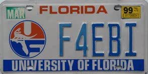 Amazon.com: Florida University of Florida license plate blue numbers on ...