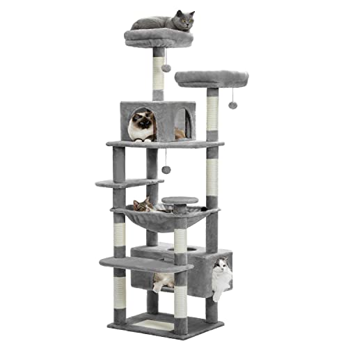 Cat Towers for Large Cats – The 15 best products compared - Wild Explained