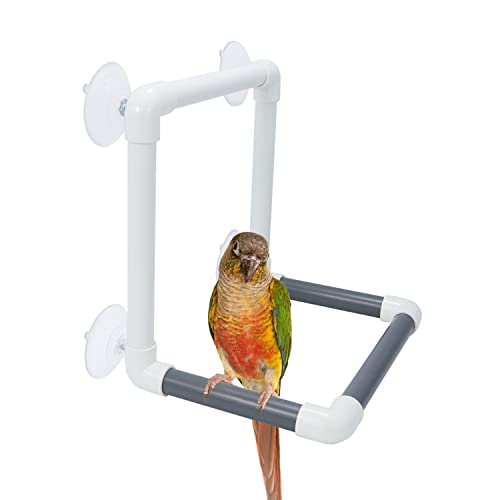 Bird Stand Suction Cup Bird Perch - Portable Platform For Parrots ...