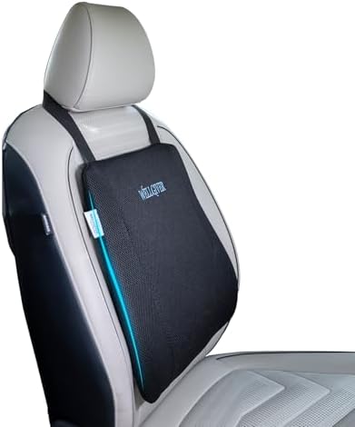 FOVERA Lumbar Support for Car, Back Rest Support Memory Foam Cushion ...