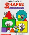 My First Book of Shapes: With Lift-Up Flaps & A Pop-Up, Too!: Murphy ...
