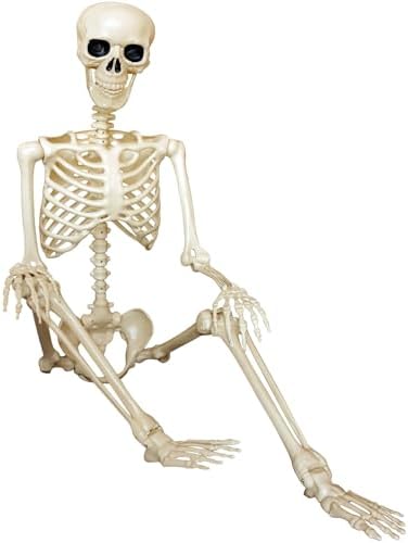 Amazon.com: DINESIL 6Ft/185cm Halloween Skeleton, Life Size Skeleton ...