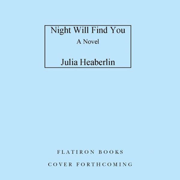 Amazon.com: Night Will Find You: A Novel (Audible Audio Edition): Julia ...