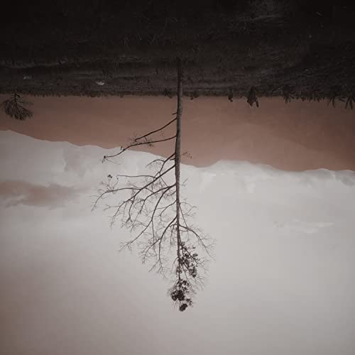 Play Discoloration by Oleg Byonic on Amazon Music