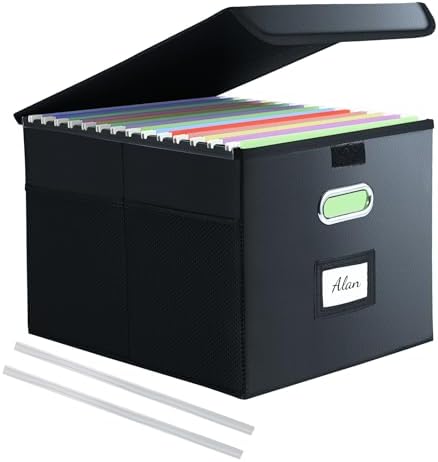 Amazon.com : AZAZA 2-Layer Plastic Storage Box with Lid & Handle ...