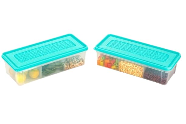 dinely 3 Partition Fridge Storage container Boxes Organizer, Vegetable ...