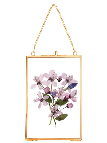REDHUGO Pressed Flower Frames, Glass Floating Frames for Display Dried ...