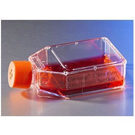 Corning 3001 Polystyrene Sterile Cell Culture Flask, Canted Neck, 225 ...