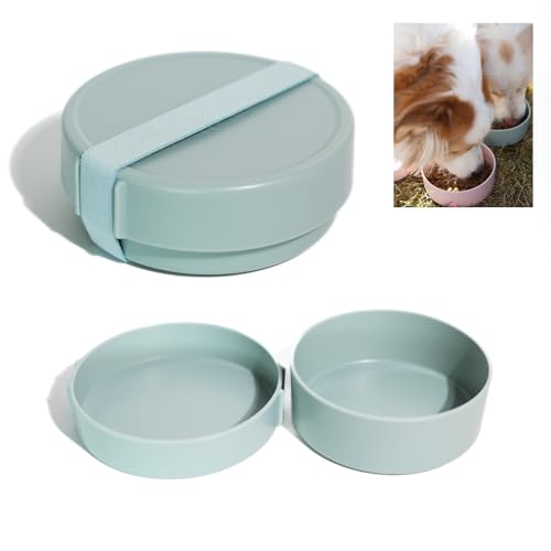 Dog Travel Bowls – The 15 best products compared - Wild Explained
