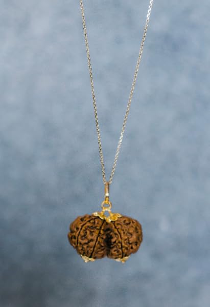 Gemstone Industry Genuine Gori Shankar Rudraksha Original Certified ...