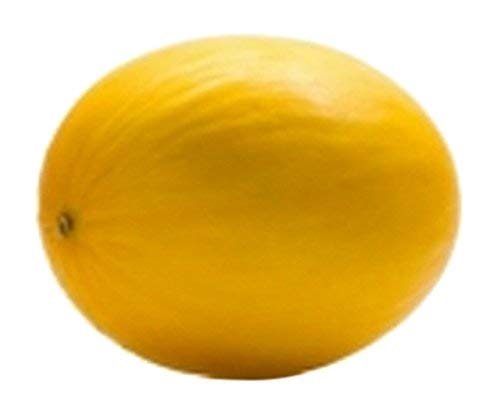 Fresh Sun Melon, 1 kg : Amazon.in: Grocery & Gourmet Foods