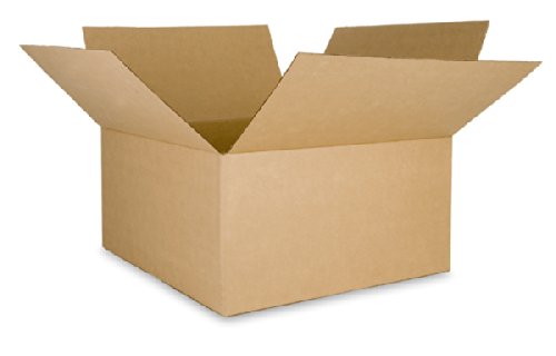 EcoBox 24 x 24 x 12 Inches, Corrugated Box (E-1079) : Amazon.in ...