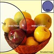 Amazon.com : Hoya 43mm 80A Filter : Camera Lens Color Correction And ...