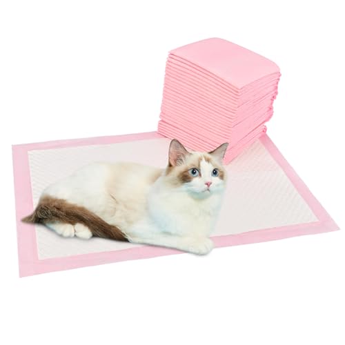 Cat Pee Pads – The 15 best products compared - Wild Explained