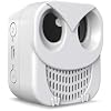 Amazon.com: HTZSAFE Rechargeable Dual-Direction Motion Sensor ...
