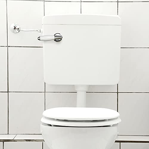 duisoad Toilet WC Cistern Flush Lever, Cistern Handle Replacement ...