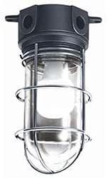 Krowne Metal 25-102 Replacement Globe for 446-003 Vapor Proof Light ...