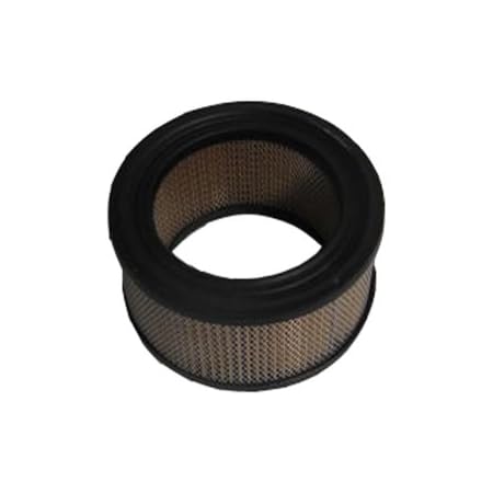 Amazon.com : KOHLER 235116-S Engine Air Filter For M8, K181N/L And K241 ...
